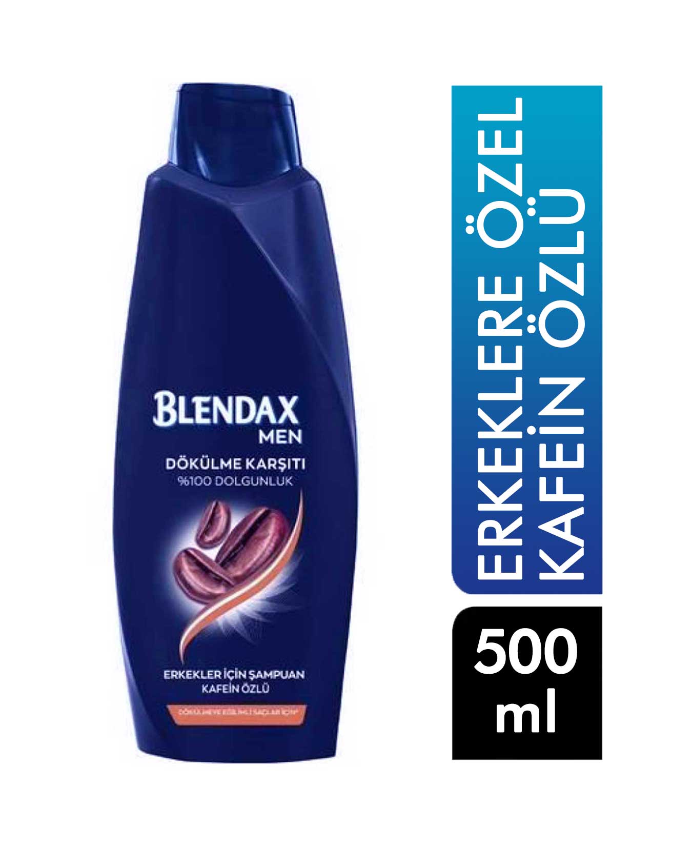 Blendax Şampuan 500 ml Kafein Erkek 8690572805770 | FmcgStore.com